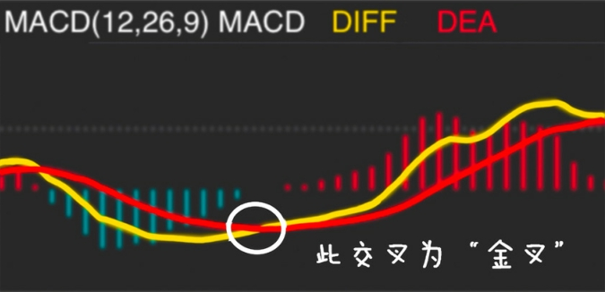 巧用MACD精准抄底和逃顶_macd修改参数很精准-CSDN博客